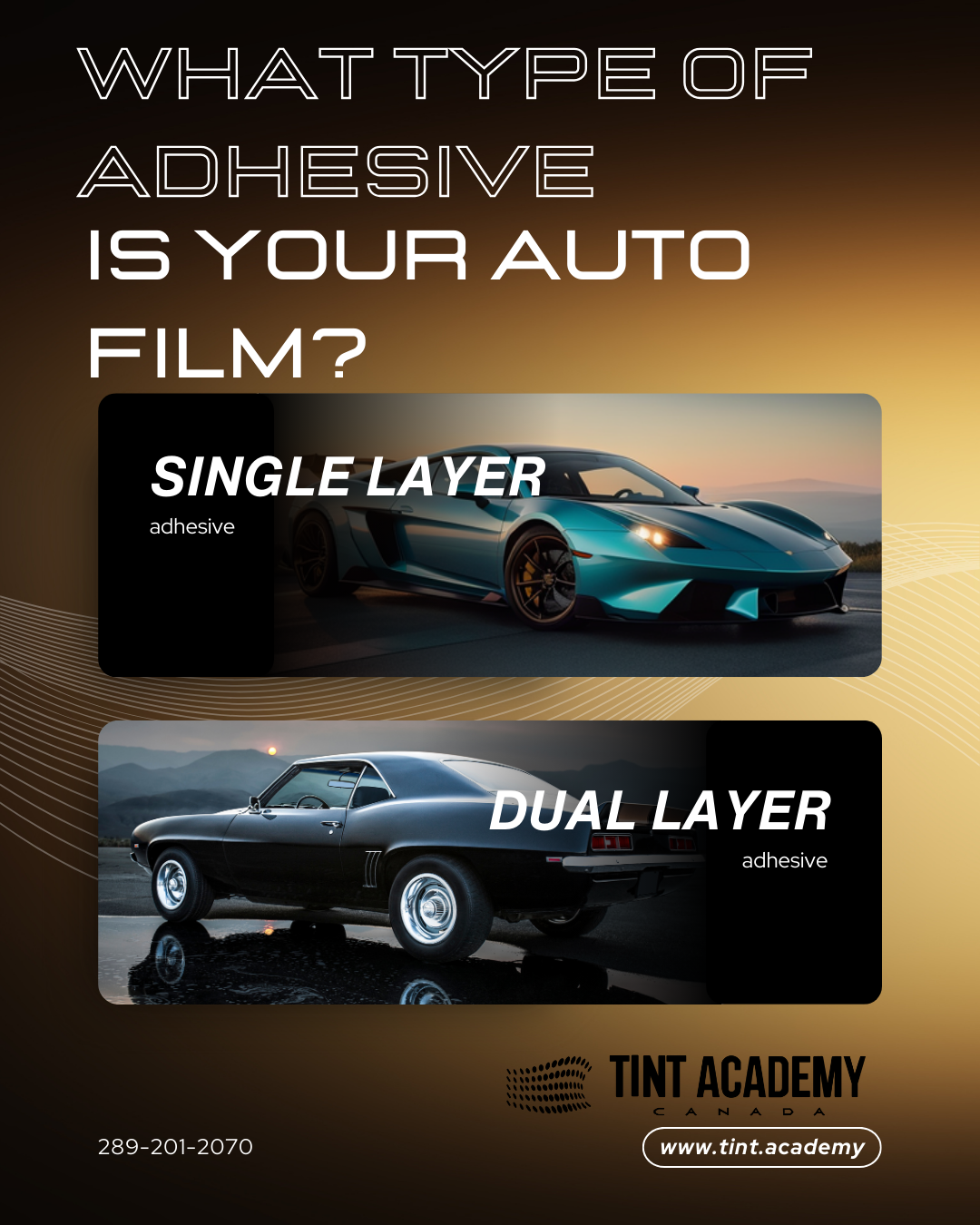 Single-Layer vs. Dual-Layer Adhesive Films: Which Is Better for Window